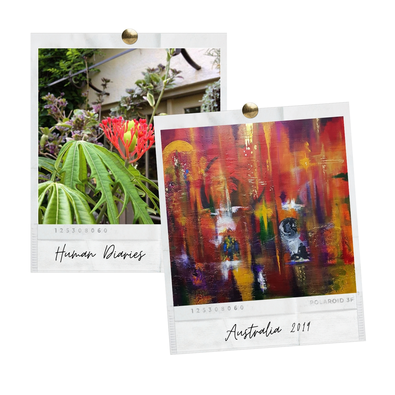 Social Connect - Human Diaries