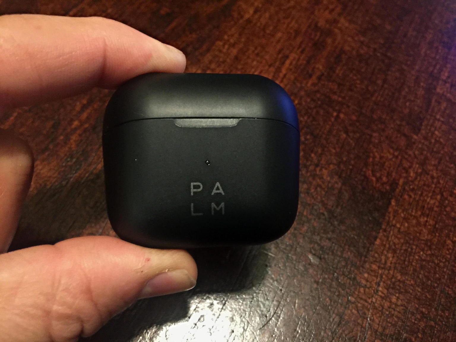 Palm Buds Pro Review